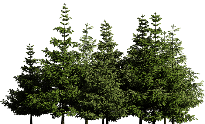 Leon White Jr Obituary (1949 - 2025) - Richmond, Virginia